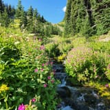 Berkeley Park Trail, Washington - 311 Reviews, Map | AllTrails