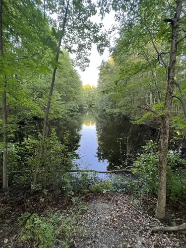 Best Hikes and Trails in Mercer County Park | AllTrails