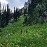 Berkeley Park Trail, Washington - 311 Reviews, Map | AllTrails