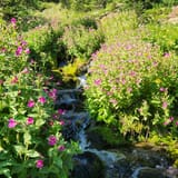 Berkeley Park Trail, Washington - 311 Reviews, Map | AllTrails