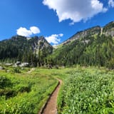 Berkeley Park Trail, Washington - 311 Reviews, Map | AllTrails