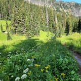 Berkeley Park Trail, Washington - 311 Reviews, Map | AllTrails