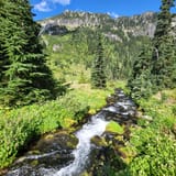 Berkeley Park Trail, Washington - 311 Reviews, Map | AllTrails