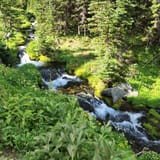 Berkeley Park Trail, Washington - 311 Reviews, Map | AllTrails