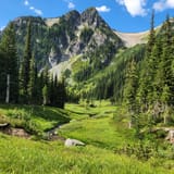 Berkeley Park Trail, Washington - 342 Reviews, Map | AllTrails