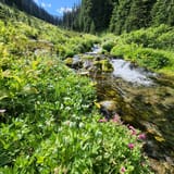 Berkeley Park Trail, Washington - 342 Reviews, Map | AllTrails