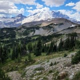 Berkeley Park Trail, Washington - 342 Reviews, Map | AllTrails