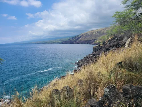 2023 Best Trails, Walks, and Paths in Captain Cook | AllTrails