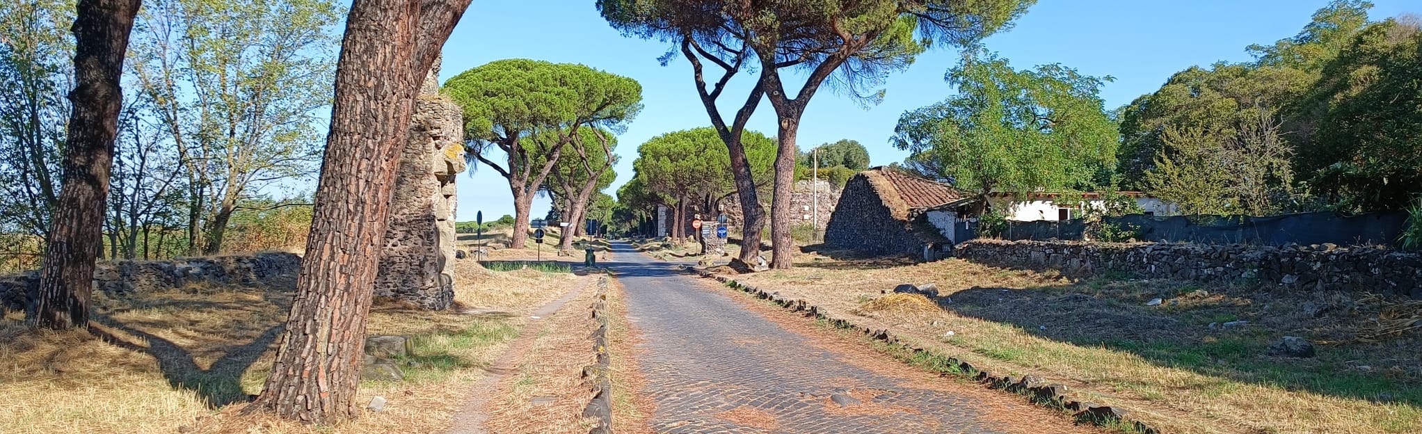 Aqueduct Park - Monte Cavo (MTB): 2 Reviews, Map - Lazio, Italy | AllTrails
