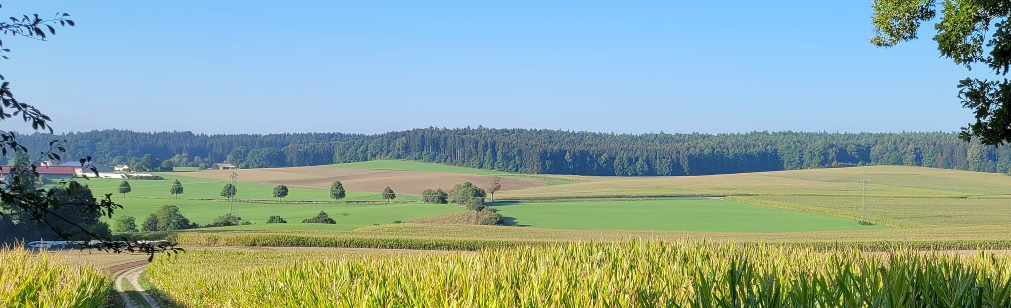 Schwarzer-Reiter-Rundwanderweg, Bavaria, Germany - Map, Guide | AllTrails