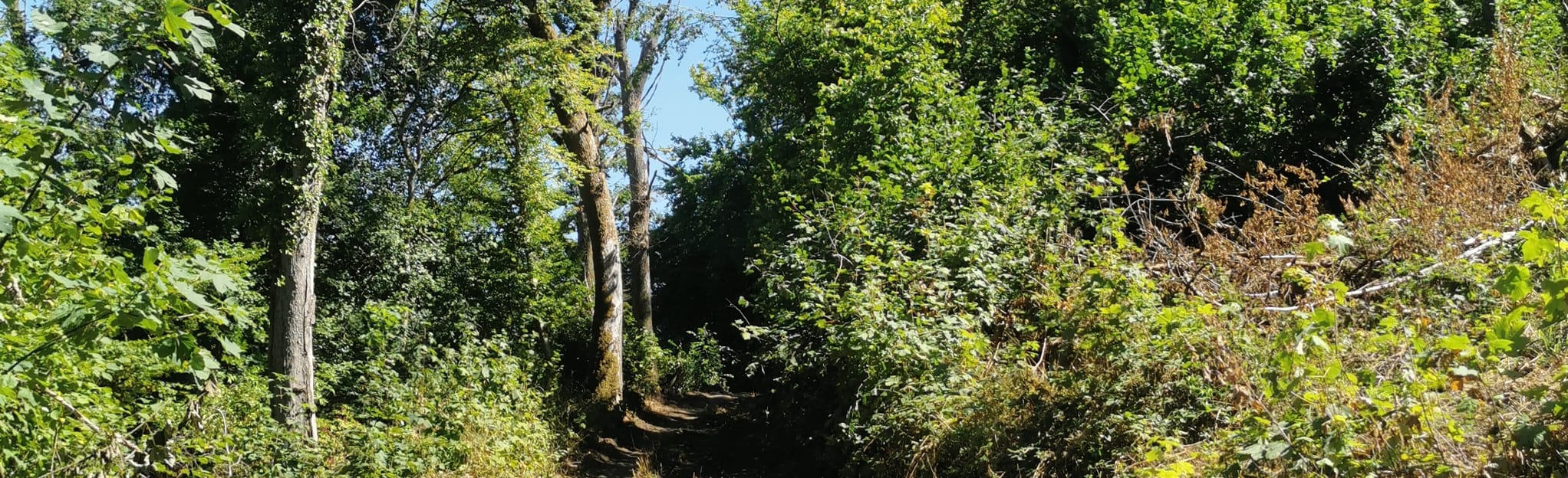 Warnant - Grange - Haut le Wastia - Warnant: 15 Photos - Namur, Belgium ...