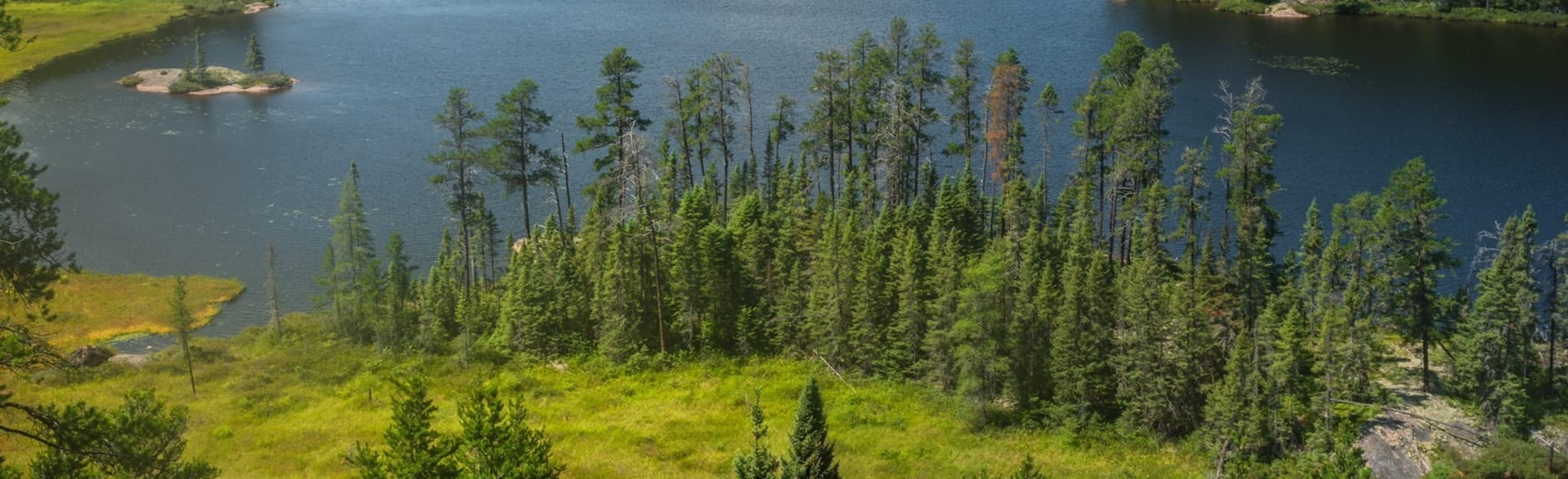 Hawk Ridge Trail: 73 Reviews, Map - Ontario, Canada | AllTrails