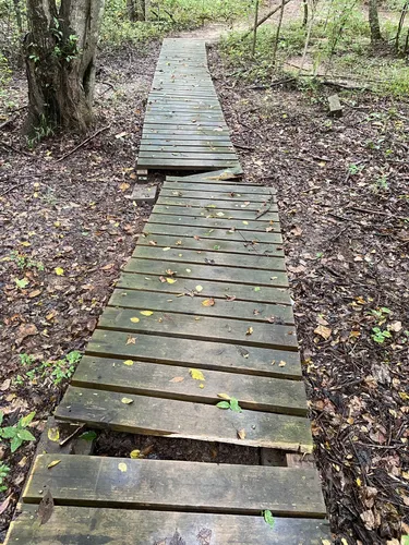 Best Hikes and Trails in Sara Babb Park | AllTrails