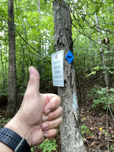 Best Hikes and Trails in Sara Babb Park | AllTrails