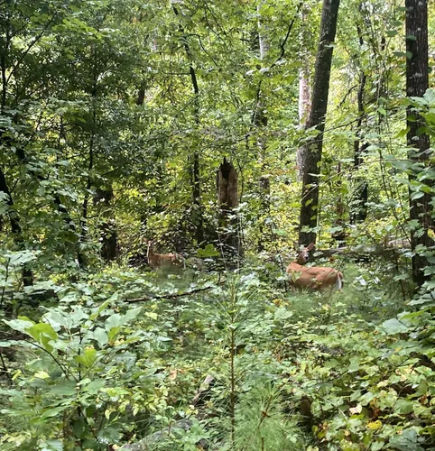 Best Hikes and Trails in Sara Babb Park | AllTrails