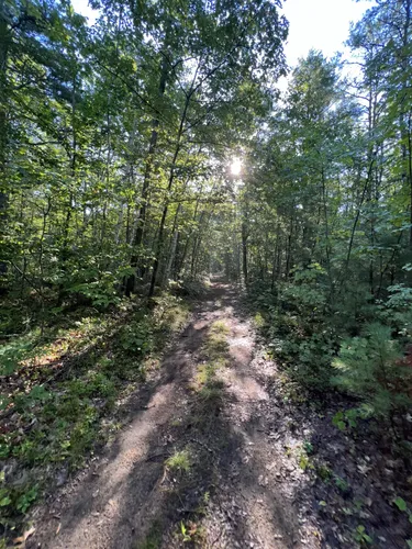 Best Forest Trails in Sebago Lake Land Reserve | AllTrails