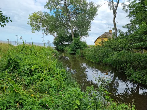 10 Best River Trails in Moesgård Skov | AllTrails