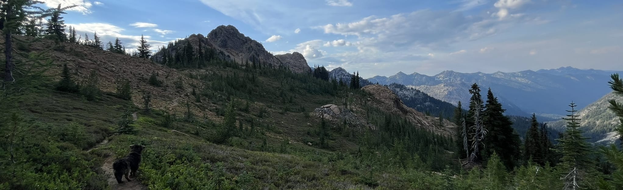 Paddy-Go-Easy Pass Trail: 51 Reviews, Map - Washington | AllTrails