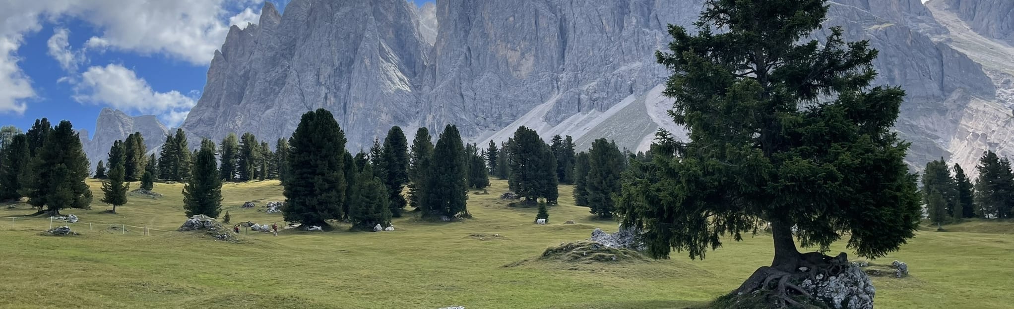 Rifugio Malga Brogles via Sentiero Adolf Munkel: 12 Reviews, Map ...