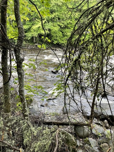 2023 Best trails in Lake Francis State Park | AllTrails