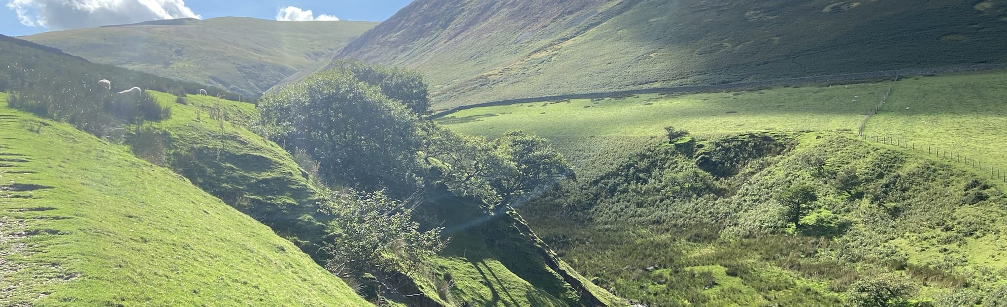 Corpse Road and Tumuli Walk, Cumbria, England - 5 Reviews, Map | AllTrails