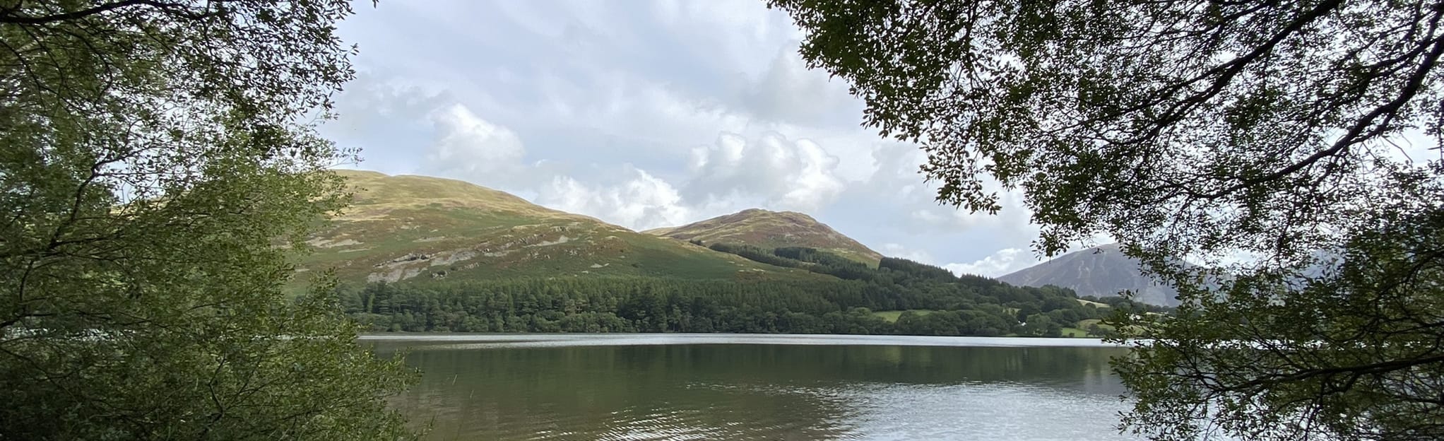 Holme Wood Circular: 288 foto's - Cumbria, Engeland | Wandelen - AllTrails