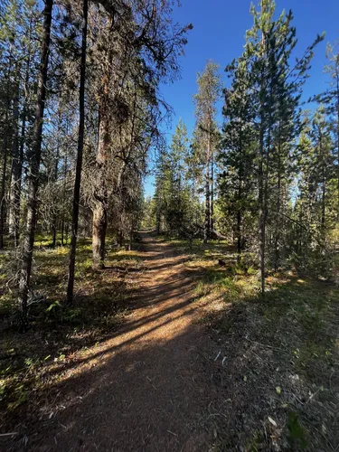 Best Hikes and Trails in Tête Jaune Cache | AllTrails