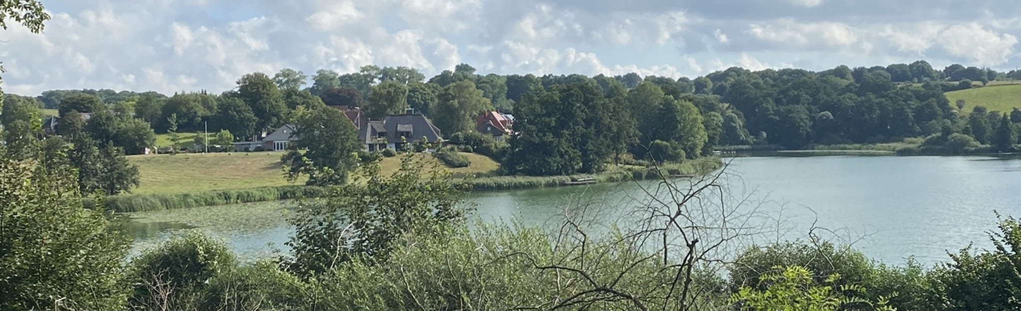 Niehuus - Padborg Skov: 55 Fotos - Region Syddanmark, Dänemark | AllTrails