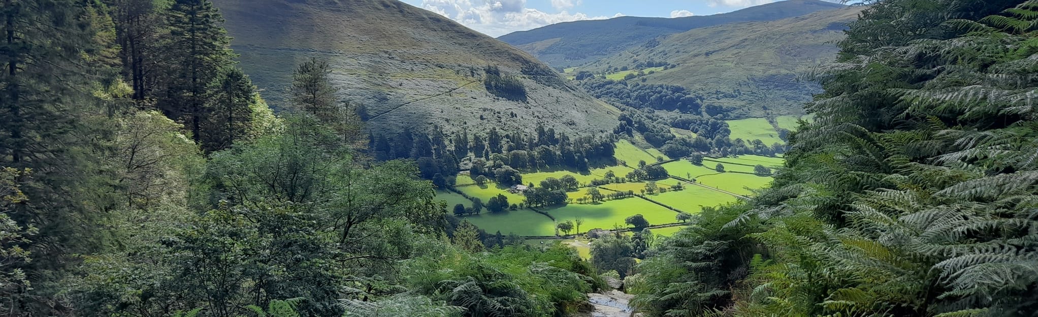 Craig Lwyd Circular, Gwynedd, Wales - 19 Reviews, Map | AllTrails