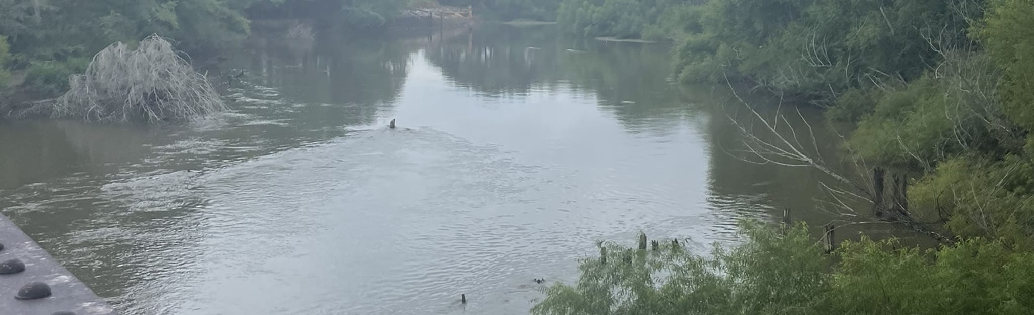 Palmetto Trail: Wateree Passage - South Carolina | AllTrails