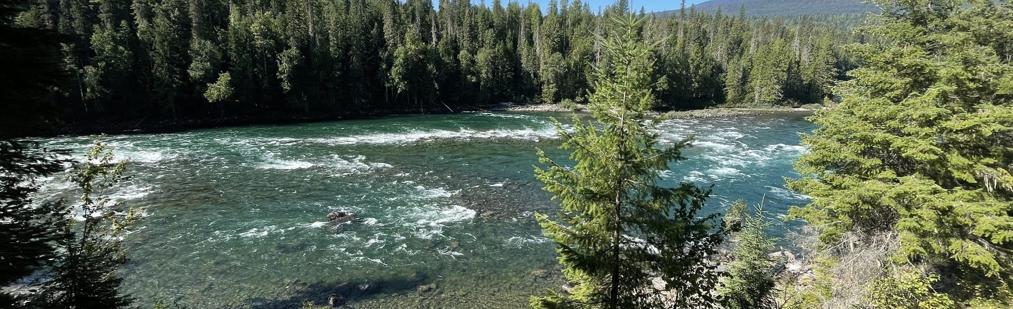 Bailey's Chute [CLOSED]: 50 Reviews, Map - British Columbia, Canada ...