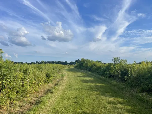 Best Hikes and Trails in Osborn MetroPark | AllTrails