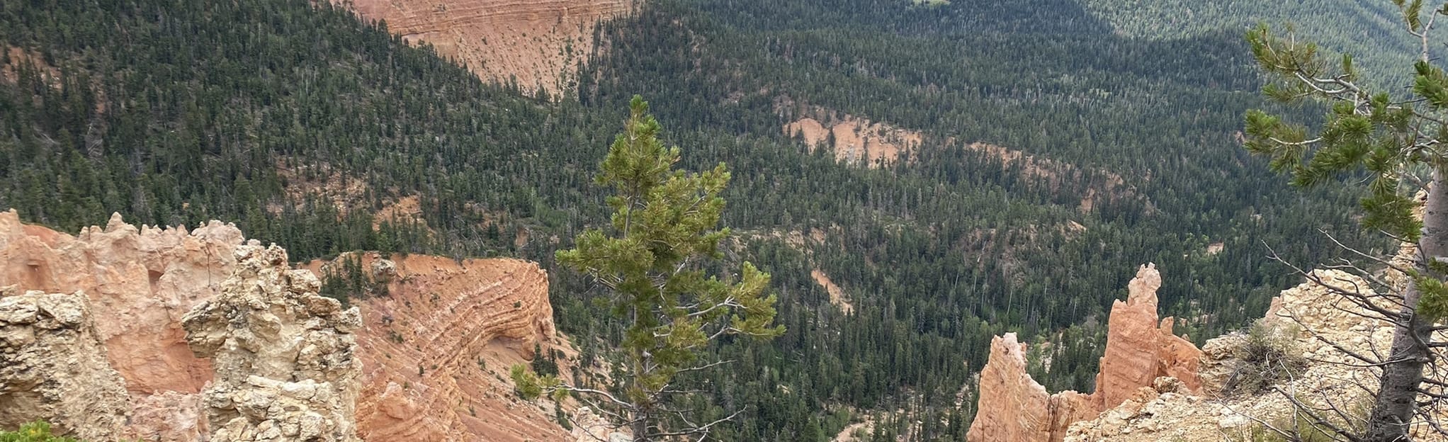 Virgin River Rim Trail: 87 Reviews, Map - Utah | AllTrails