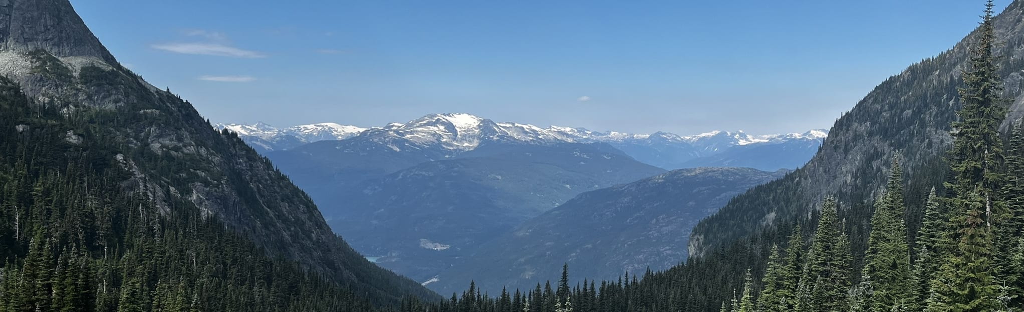 Wedge Mountain, British Columbia, Canada - 39 Reviews, Map | AllTrails