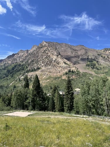 2023 Best Views Trails in Snowbird Ski Resort | AllTrails