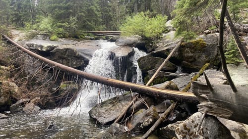 Best 10 Hikes and Trails in Anaconda Pintler Wilderness | AllTrails