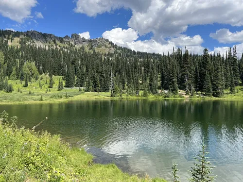 2023 Best Easy Trails in Paradise | AllTrails