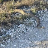 Lubbock Lake National Historic Landmark Loop, Texas - 172 Reviews, Map ...