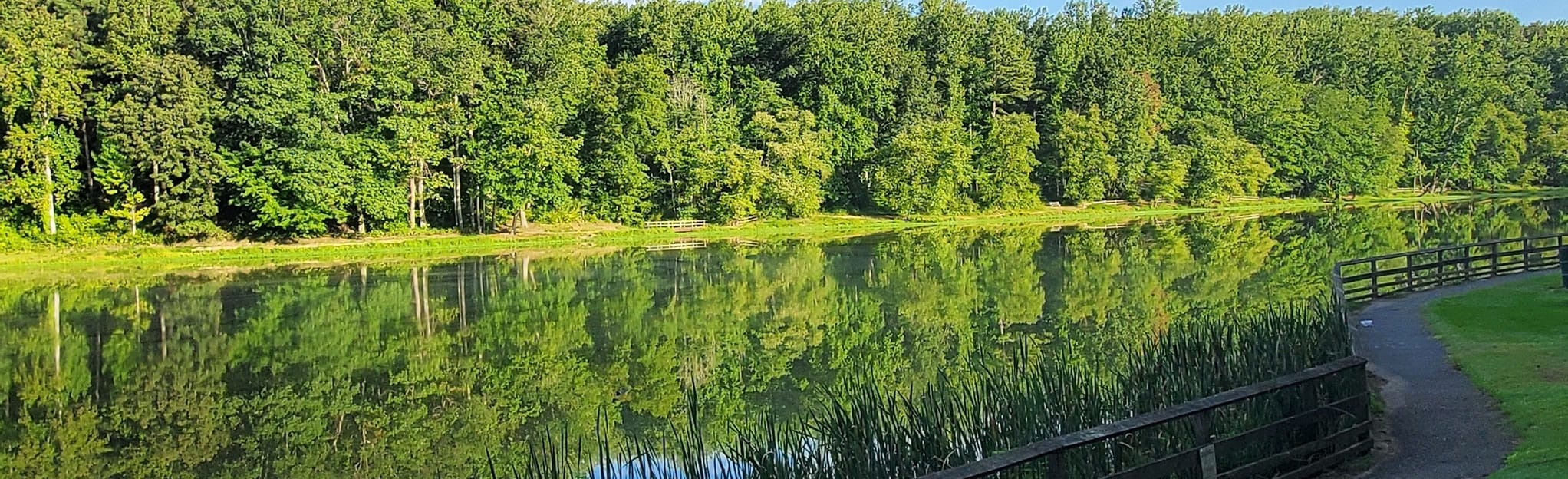 L.F. Cosca Regional Park Loop - Maryland | AllTrails