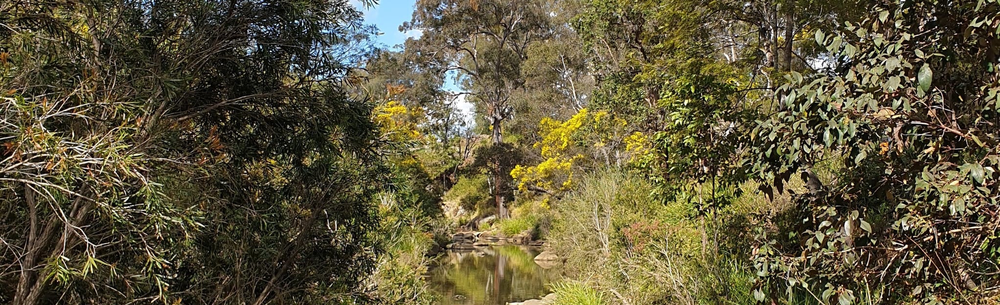 Hartmann Park Circuit, Queensland, Australia - 2 Reviews, Map | AllTrails