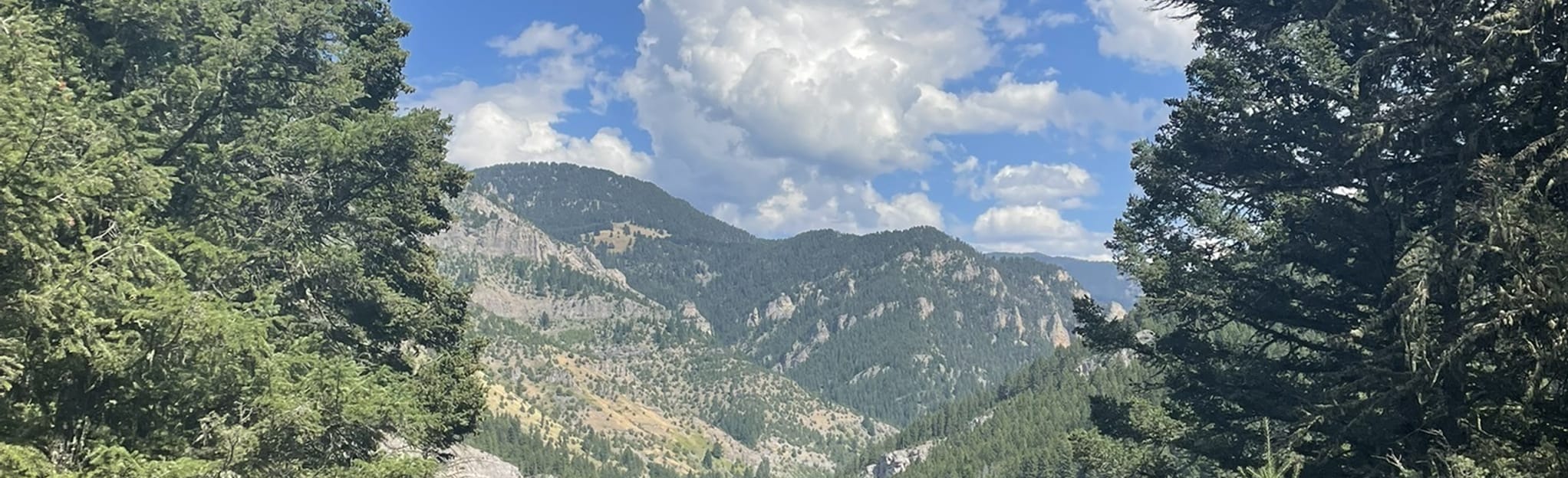 Hell Roaring Creek Trail: 232 Fotos - Montana | AllTrails