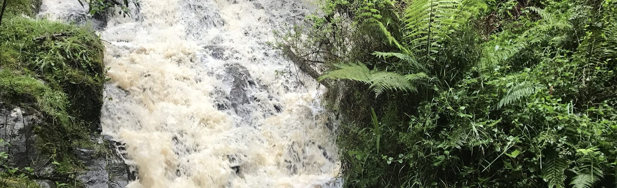 Griffith Falls via Inverness Track: 49 fotos - Victoria, Australia ...