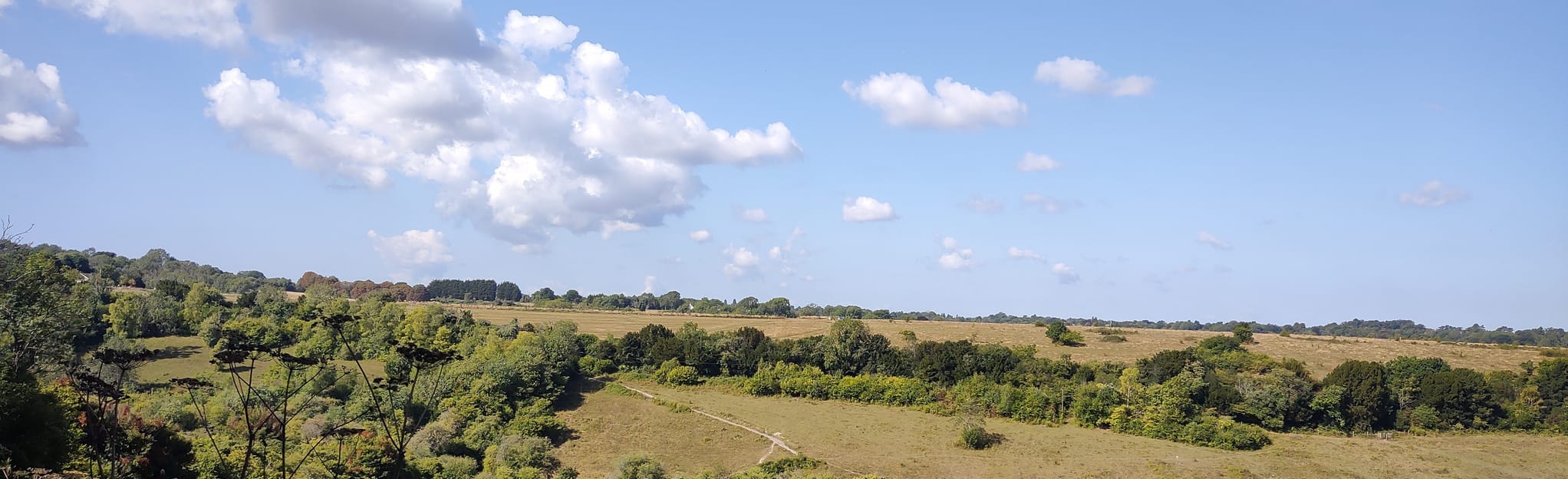Coulsdon and Farthing Down Circular - Surrey, England | AllTrails