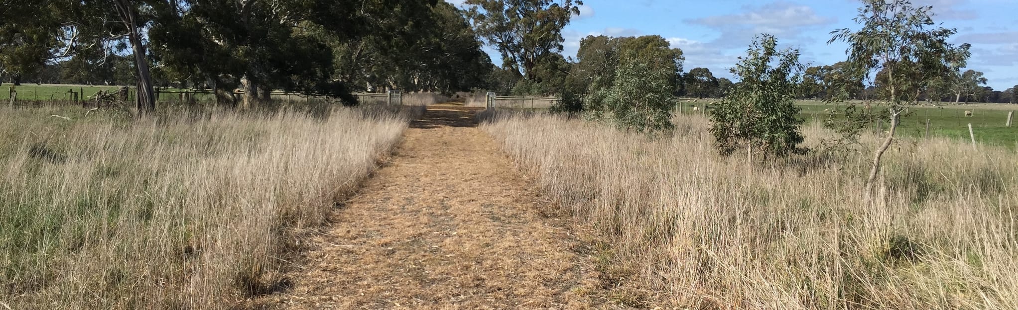 Hamilton to Coleraine Rail Trail, Victoria, Australia - 12 Reviews, Map ...