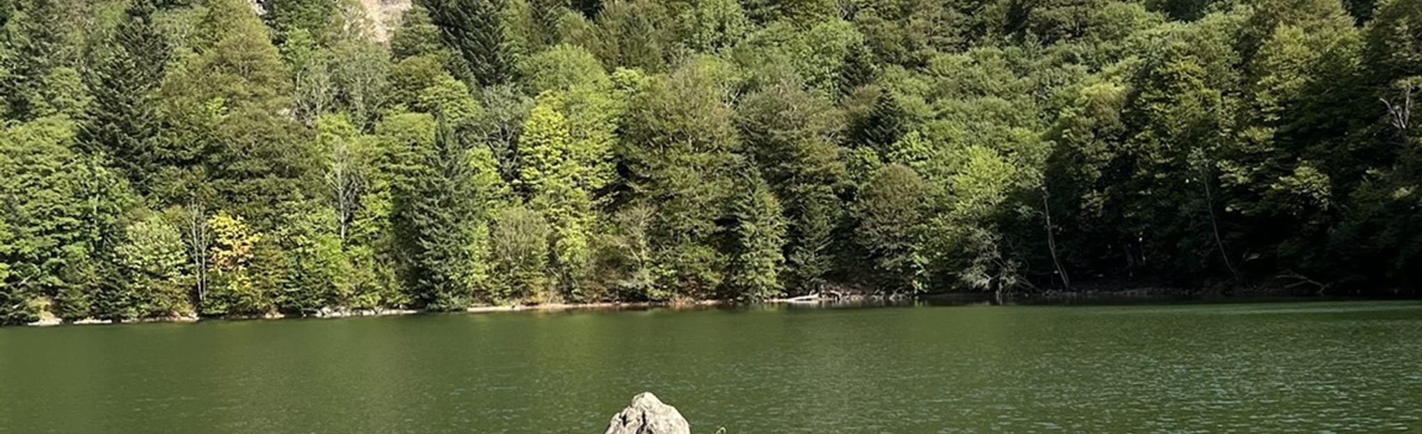 Randonnée des Trois Lacs : 142 photos - Haut-Rhin, France | AllTrails Randonnée des Trois Lacs : 142 photos - Haut-Rhin, France | AllTrails
