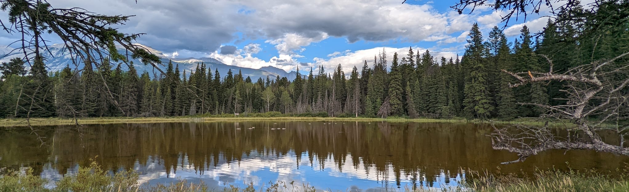 Lake Annette Loop: 669 Reviews, Map - Alberta, Canada | AllTrails