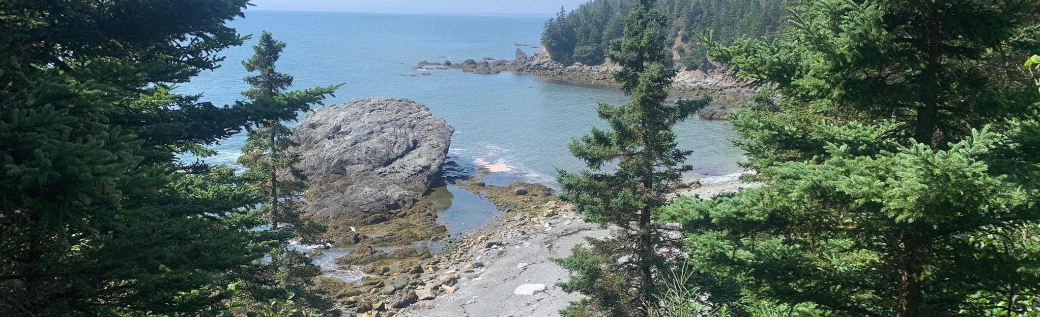 Split Rock Trail: 112 Reviews, Map - New Brunswick, Canada | AllTrails