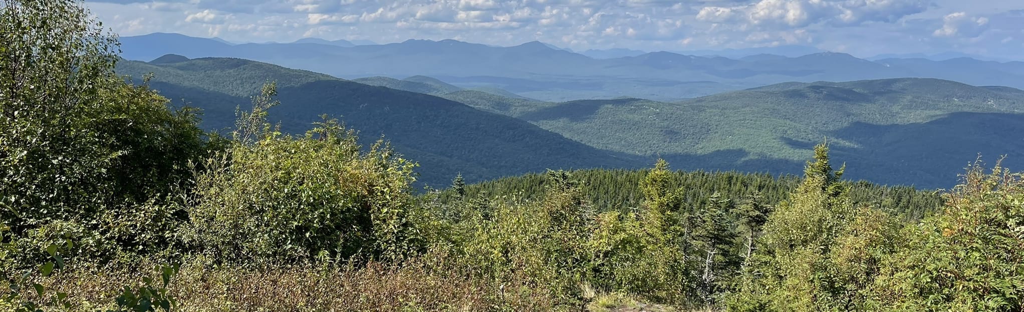 Mount Shaw and Black Snout: 1.350 foto's - New Hampshire | AllTrails