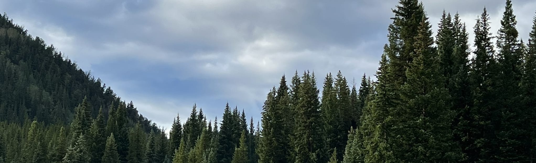 Baker's Tank Loop Trail: 63 Reviews, Map - Colorado | AllTrails