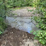 The Thorofare and South Boundary Trail, Montana - 45 Reviews, Map ...